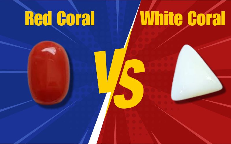 What is the Difference Between Red Coral and White Coral - HTPGemstones